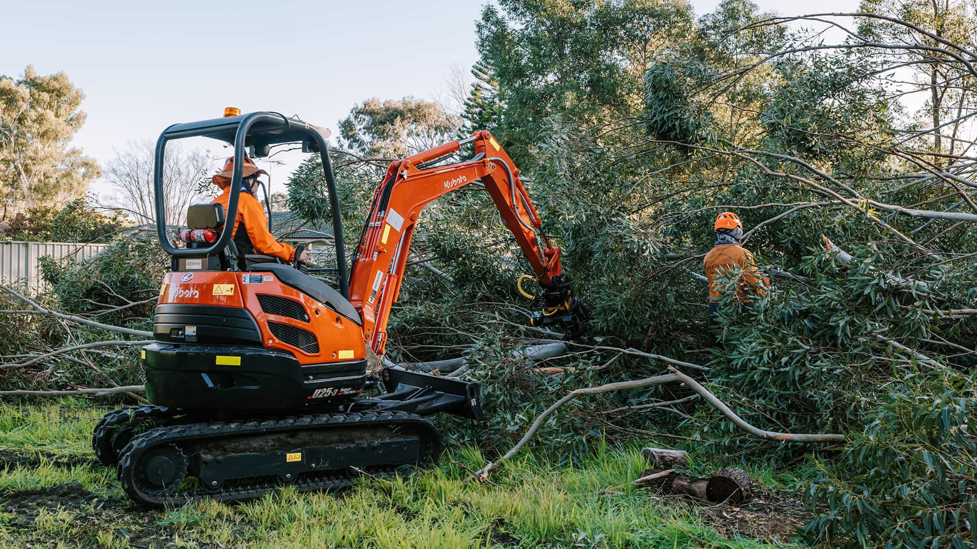 Emergency arborist Mandurah - Pete's Treeworx