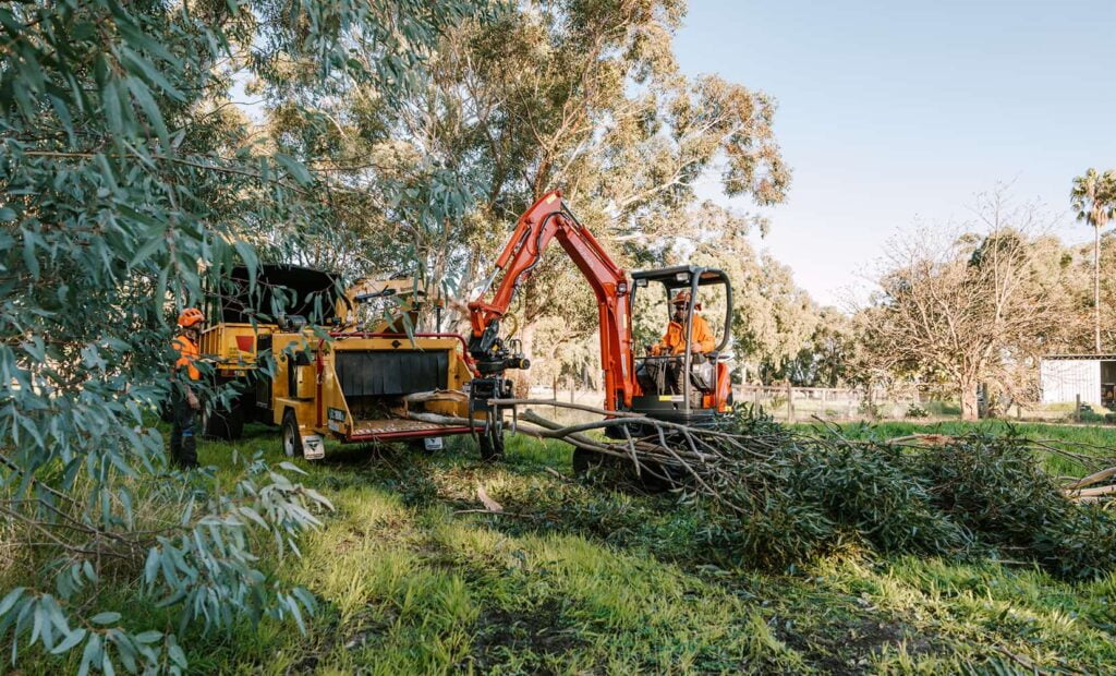 Pete's Treeworx- Tree service - Mandurah WA