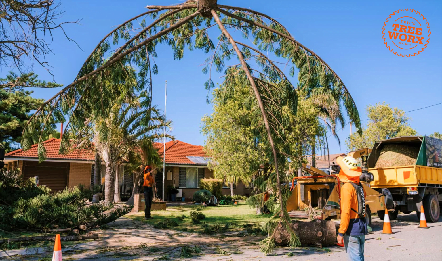 Pete's Treeworx- Tree service - Mandurah WA